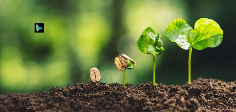 Nature as a Mentor: Leadership Lessons from the Natural World